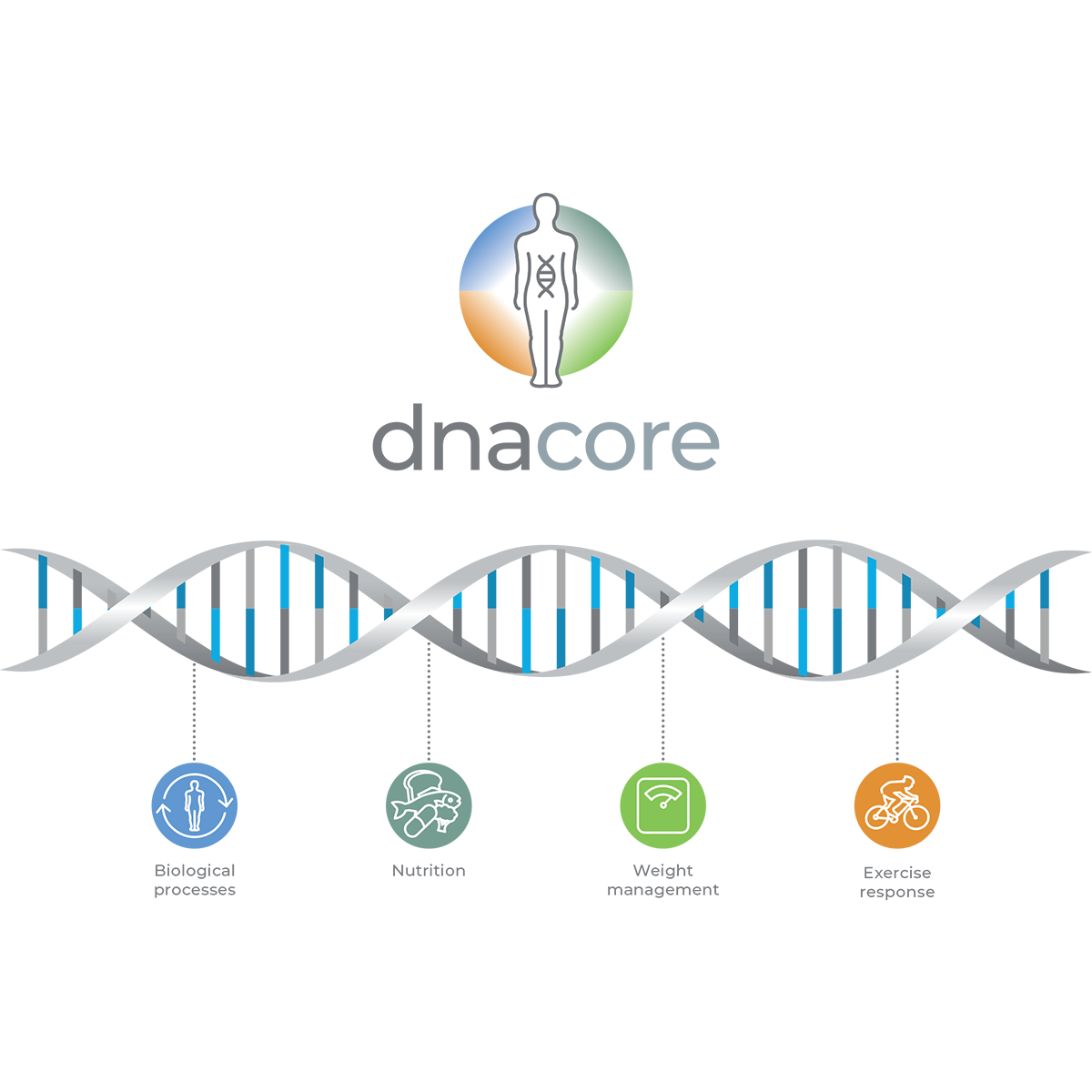 DNA Core - Consultation Included – Lisa Raleigh Online Store