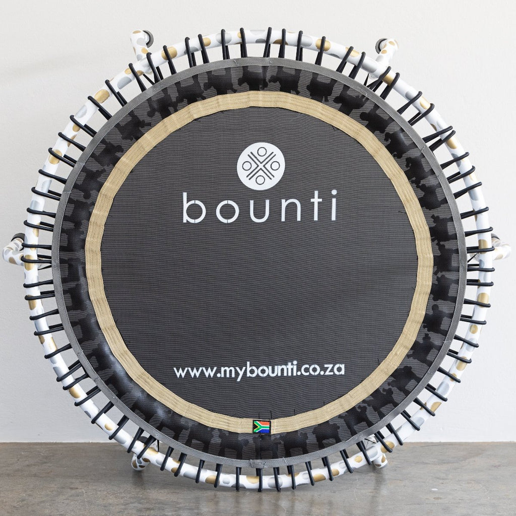 Rebounders for Sale | Shop Bungee & Spring Rebounders – Lisa Raleigh ...