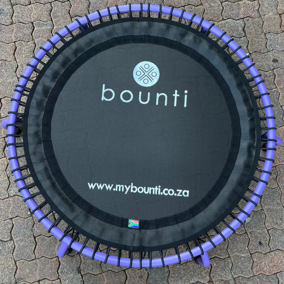 Rebounders for Sale | Shop Bungee & Spring Rebounders – Lisa Raleigh ...