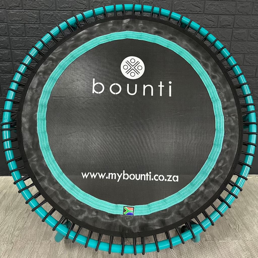 Rebounders for Sale | Shop Bungee & Spring Rebounders – Lisa Raleigh ...