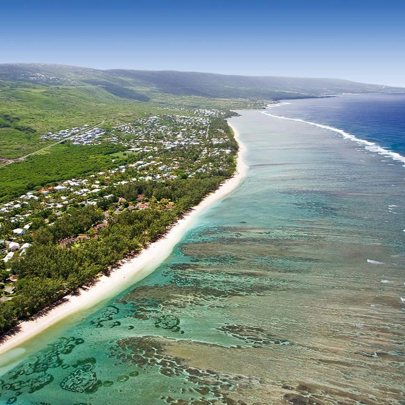 WellCations with Lisa Raleigh – Lisa Raleigh Online Store